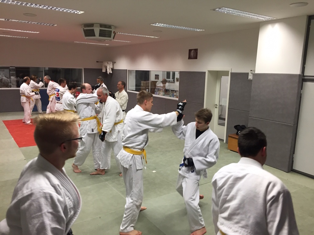 Ju-Jutsu Training vom Dezember 2015 – Judo-Club Wächtersbach